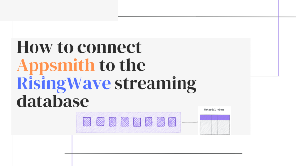 How to Connect Appsmith to the RisingWave Streaming Database | Appsmith Community Portal